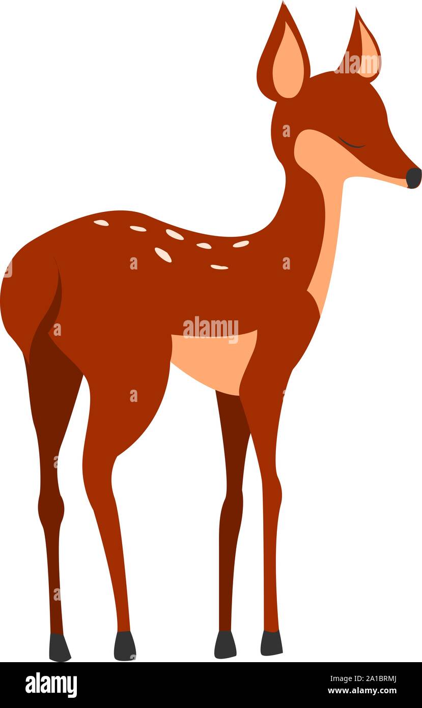 Fawn, illustration, vector on white background Stock Vector Image & Art ...