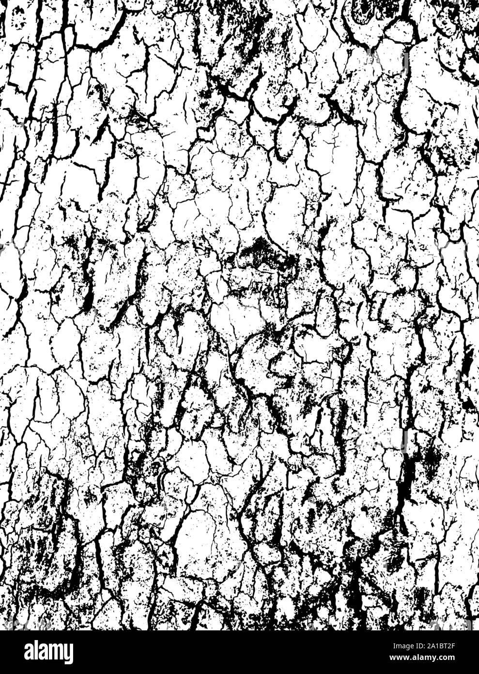 Tree Bark Pattern Vector