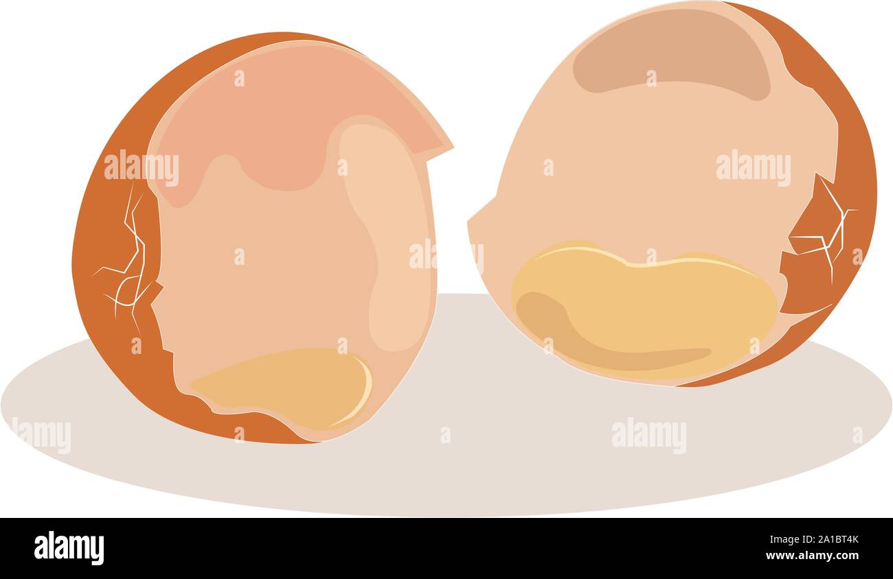 Egg shell, illustration, vector on white background Stock Vector Image ...