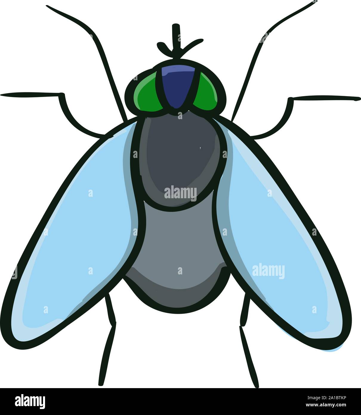 Fat fly, illustration, vector on white background Stock Vector Image ...