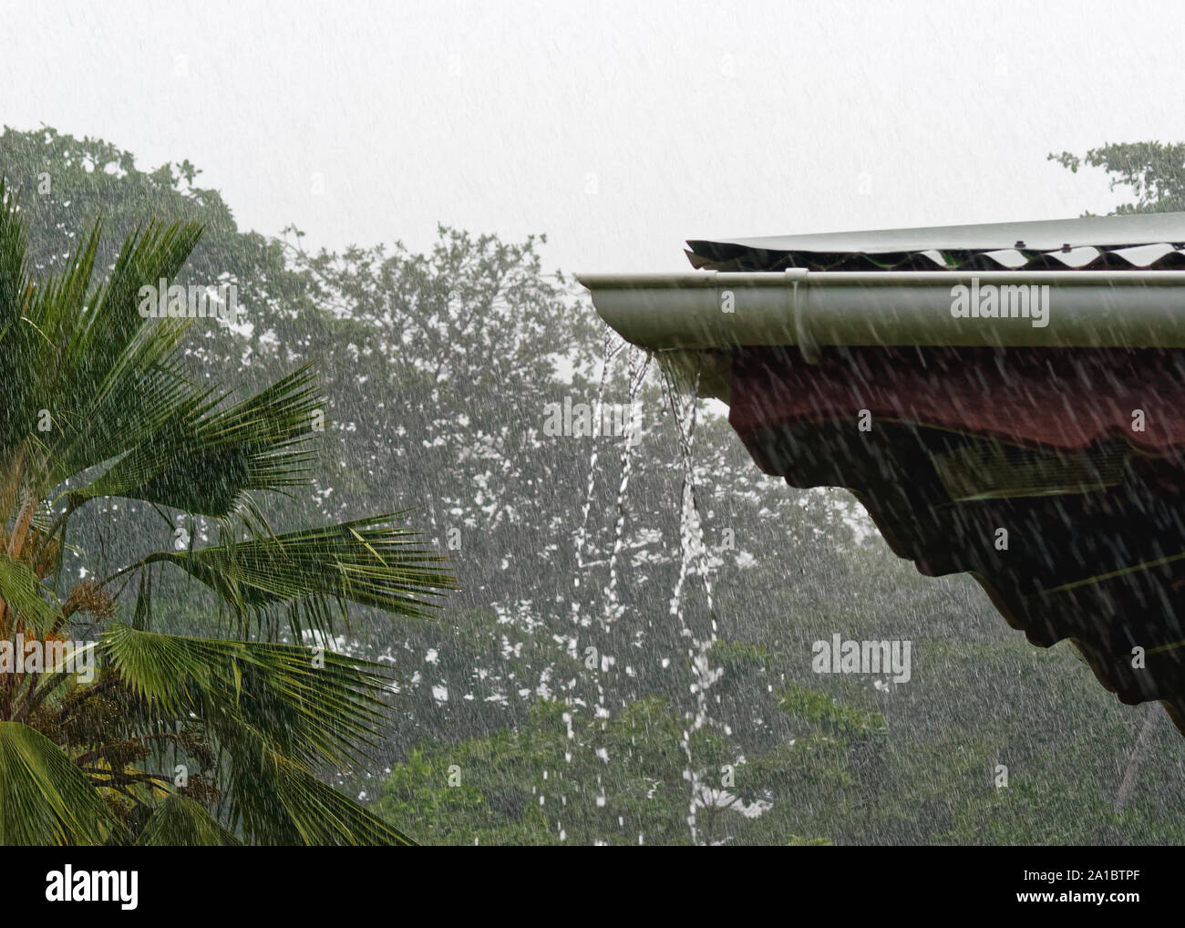 Tropical rainy climate hi-res stock photography and images - Alamy