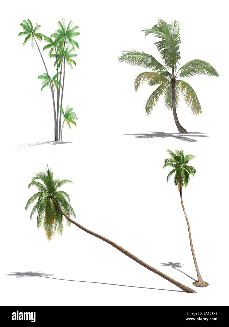 Set green 3d tree Cut Out Stock Images & Pictures - Alamy