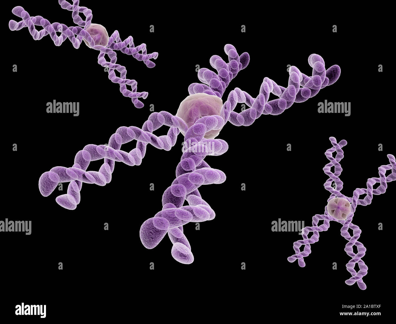 Chromosome sem hi-res stock photography and images - Alamy