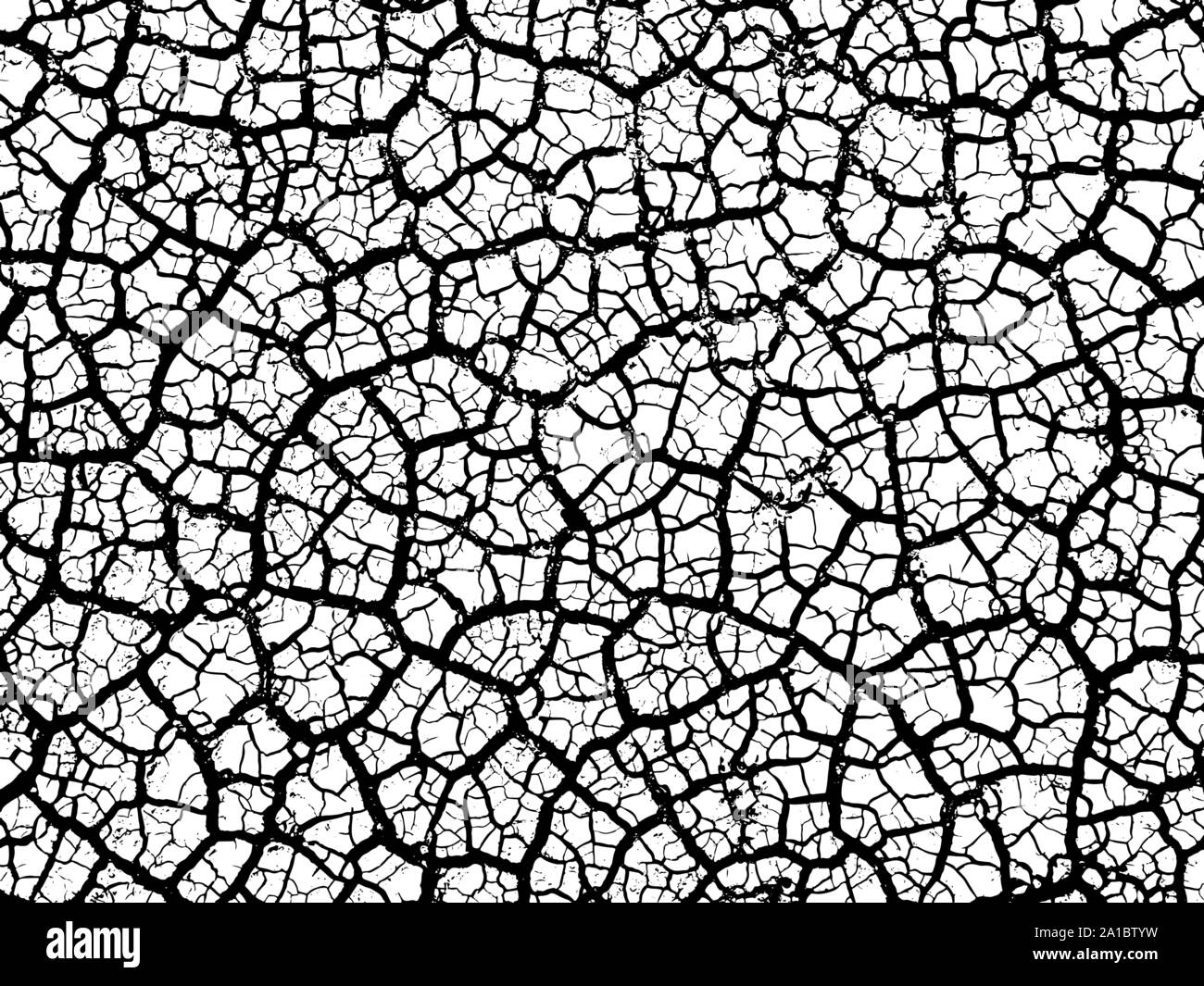 Soil Texture Vector
