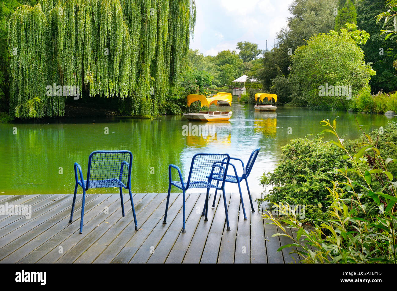 A wooden pier is a platform on a lake in the city park. Comfortable ...