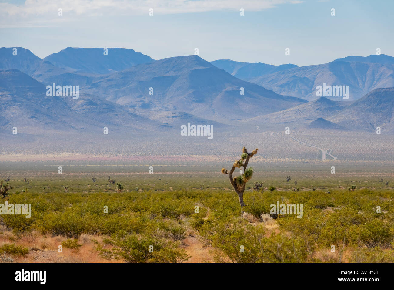 Nevada Dessert High Resolution Stock Photography and Images - Alamy