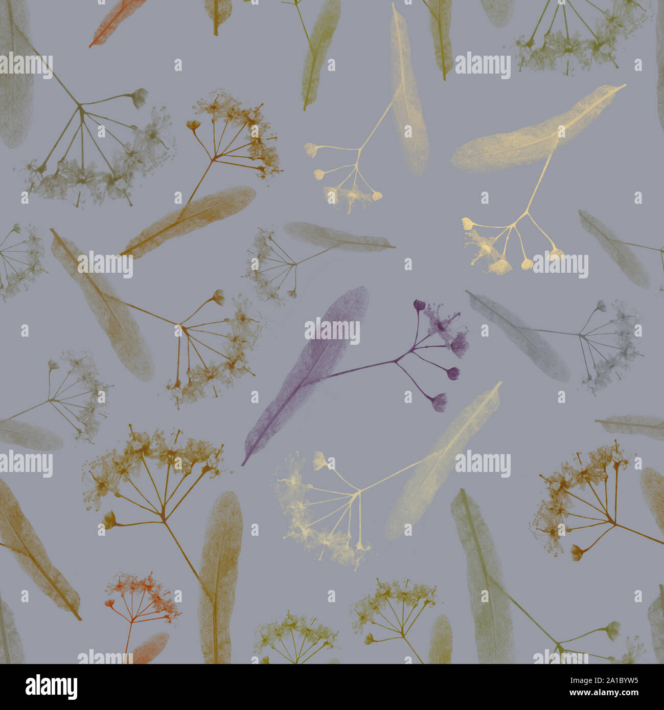 Floral elements leaves flower hi-res stock photography and images - Alamy