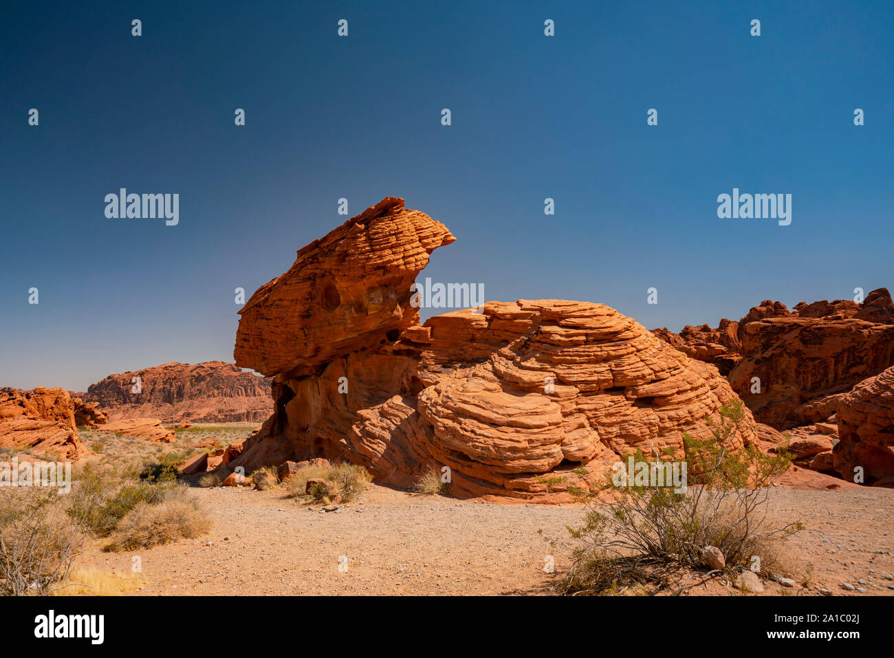 Rabbit shape beehive in the Valley of Fire State Park at Nevada Stock ...