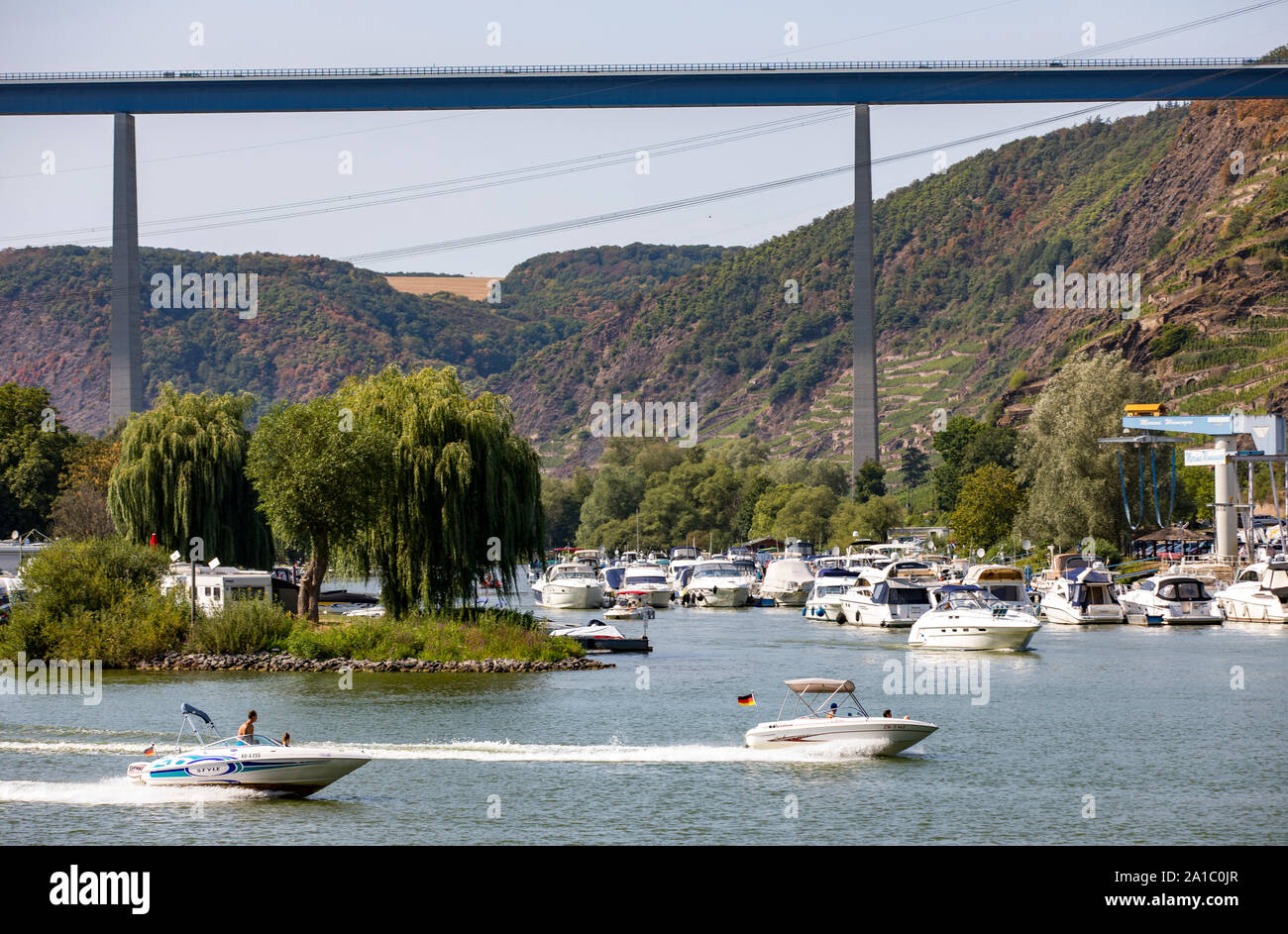Mosel near Winningen, Niedermosel, motorway bridge of the A61, marina ...