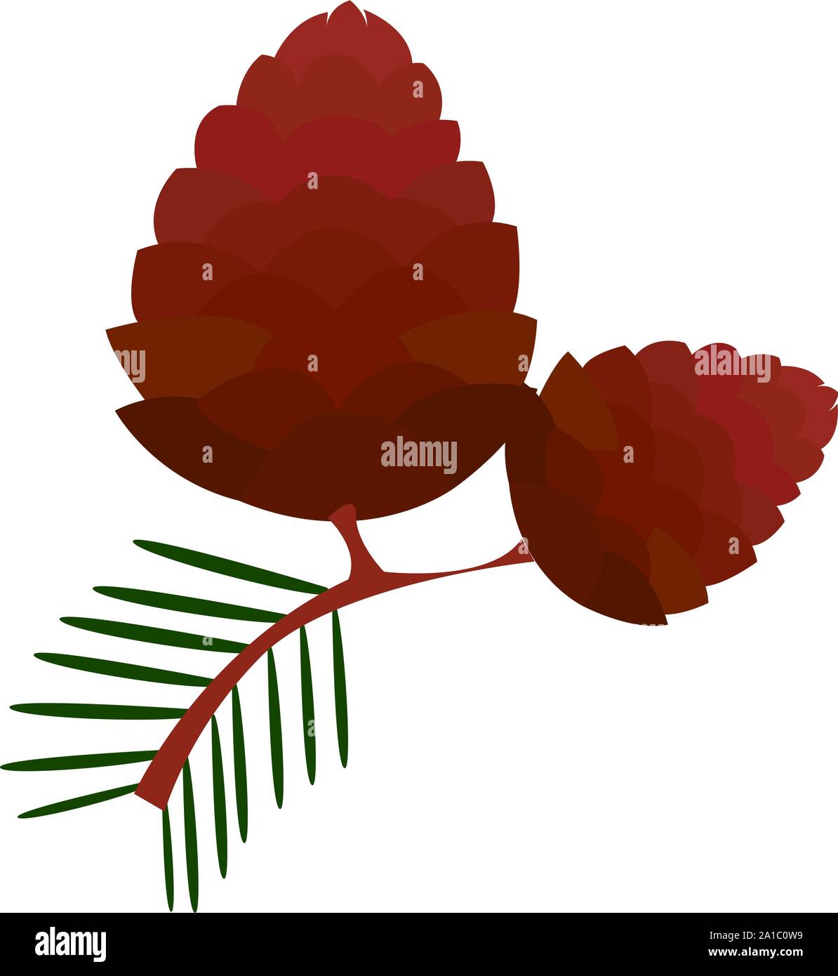 Pine cone, illustration, vector on white background Stock Vector Image ...