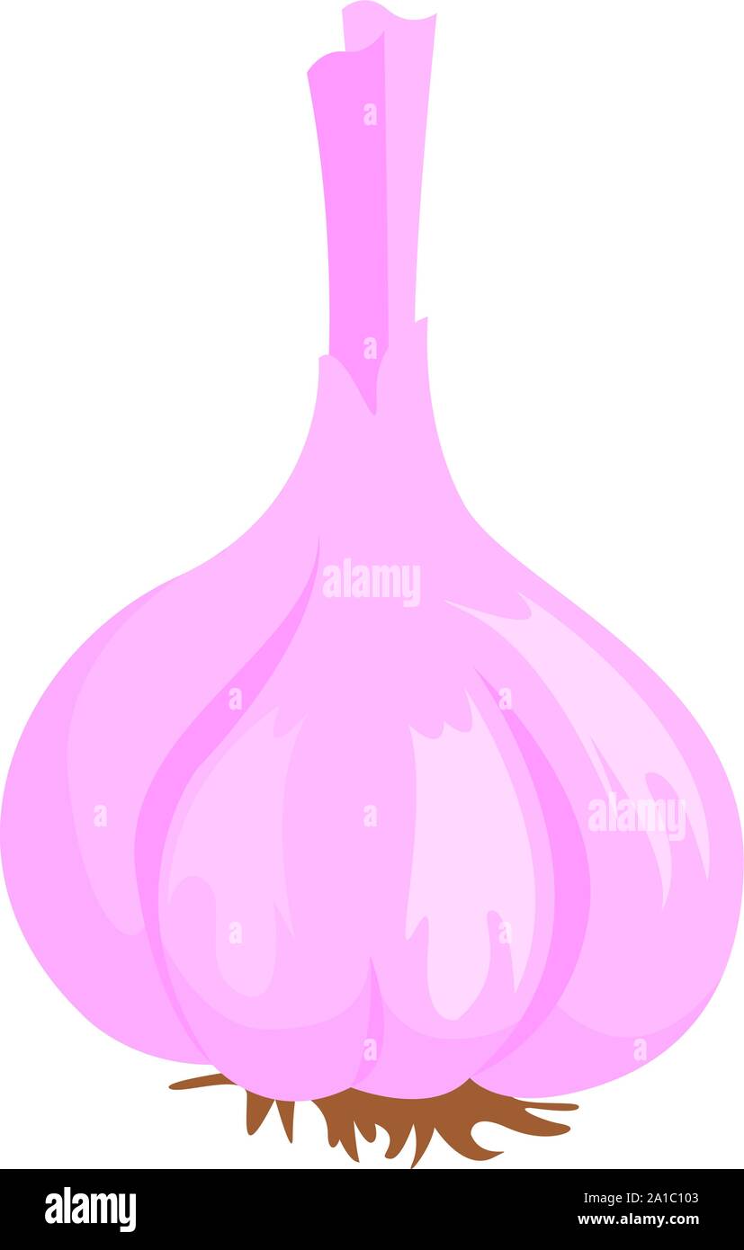 Pink onion, illustration, vector on white background Stock Vector Image ...