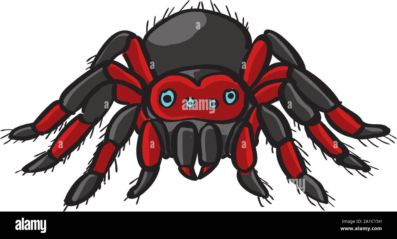 Most Disgusting Spider