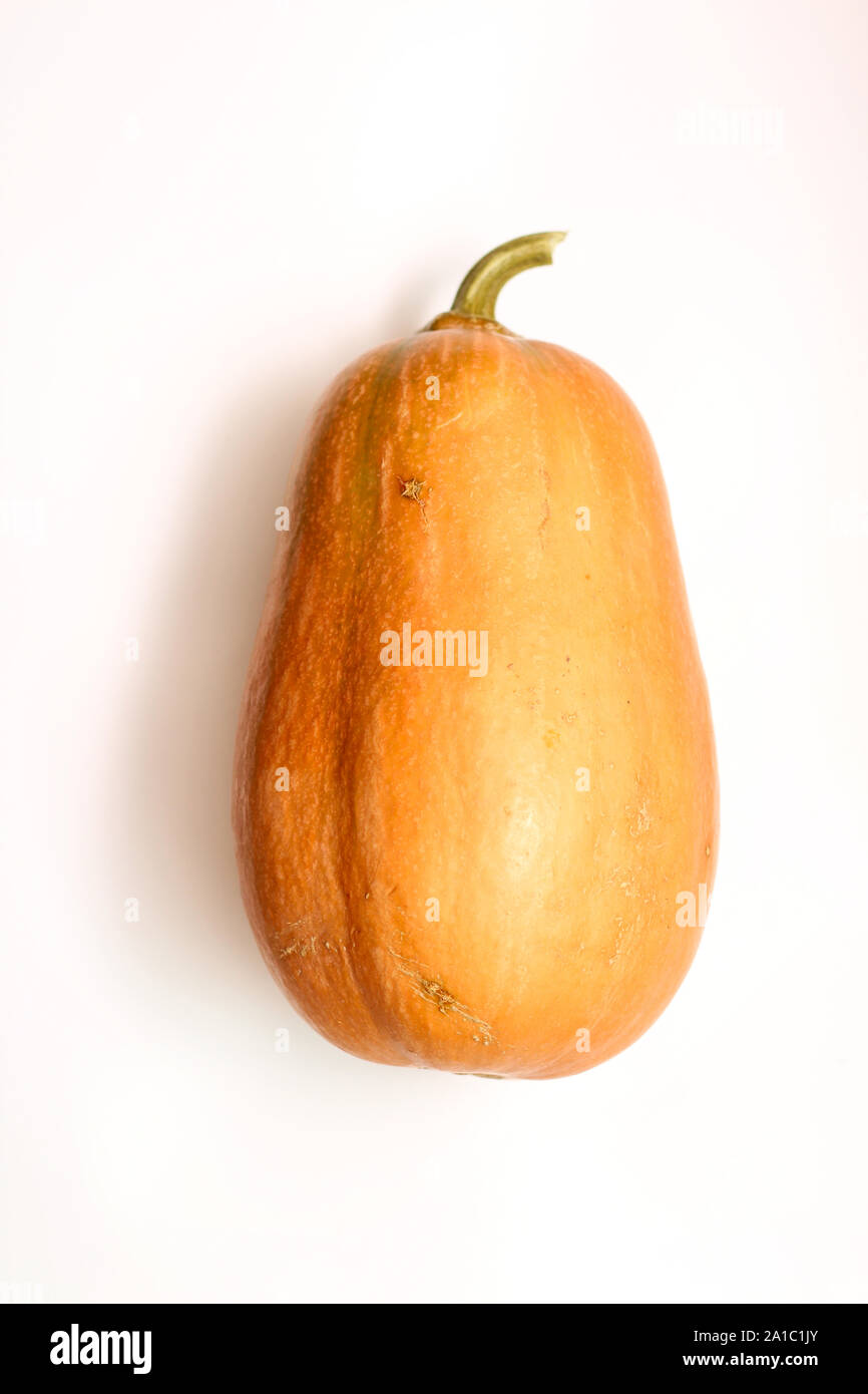 Pumpkin isolate on a white background lies on its side. Top view Stock ...