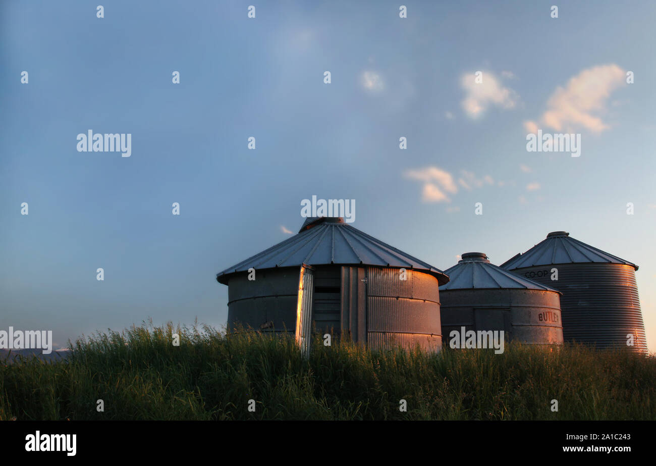 Three rusty grain storage tanks in a rural Montana pasture glow warmly ...