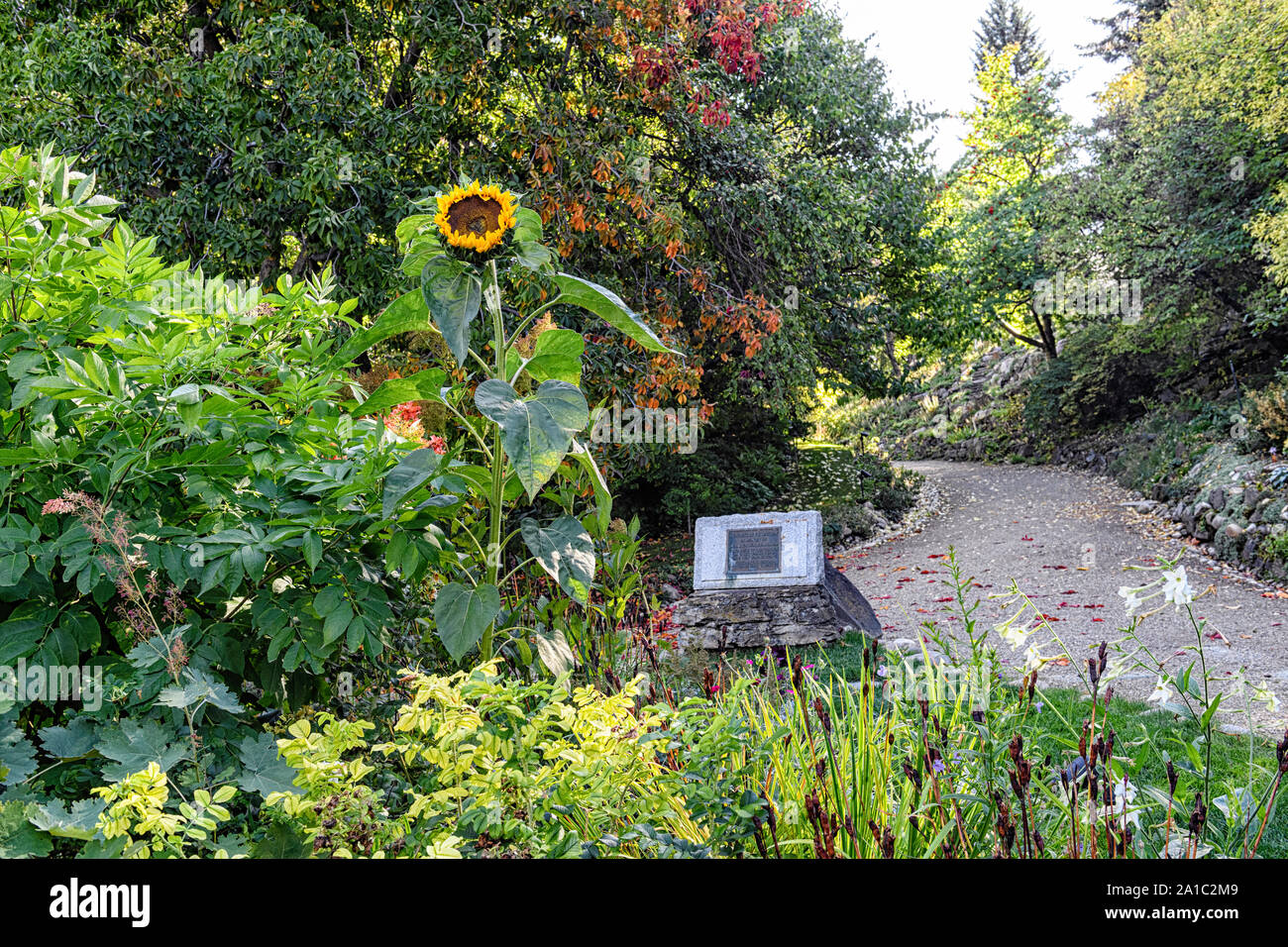 Reader Rock Garden Historic Park, Calgary Alberta Canada Stock Photo ...