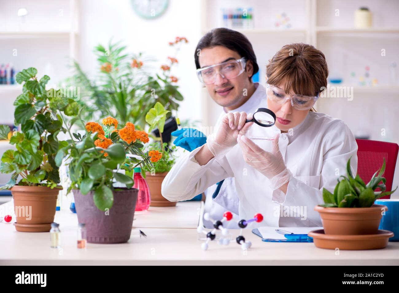 The two young botanist working in the lab Stock Photo - Alamy