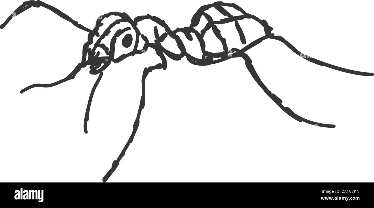 Ant drawing, illustration, vector on white background Stock Vector ...