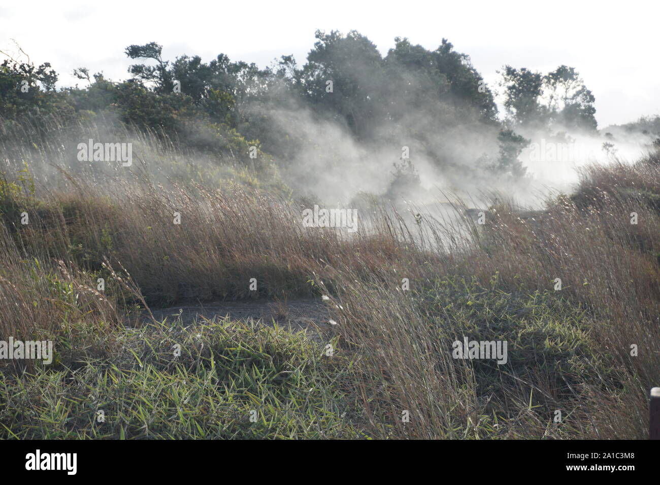 Steam vents at Volcanoes National Park. The vents billow when ground ...