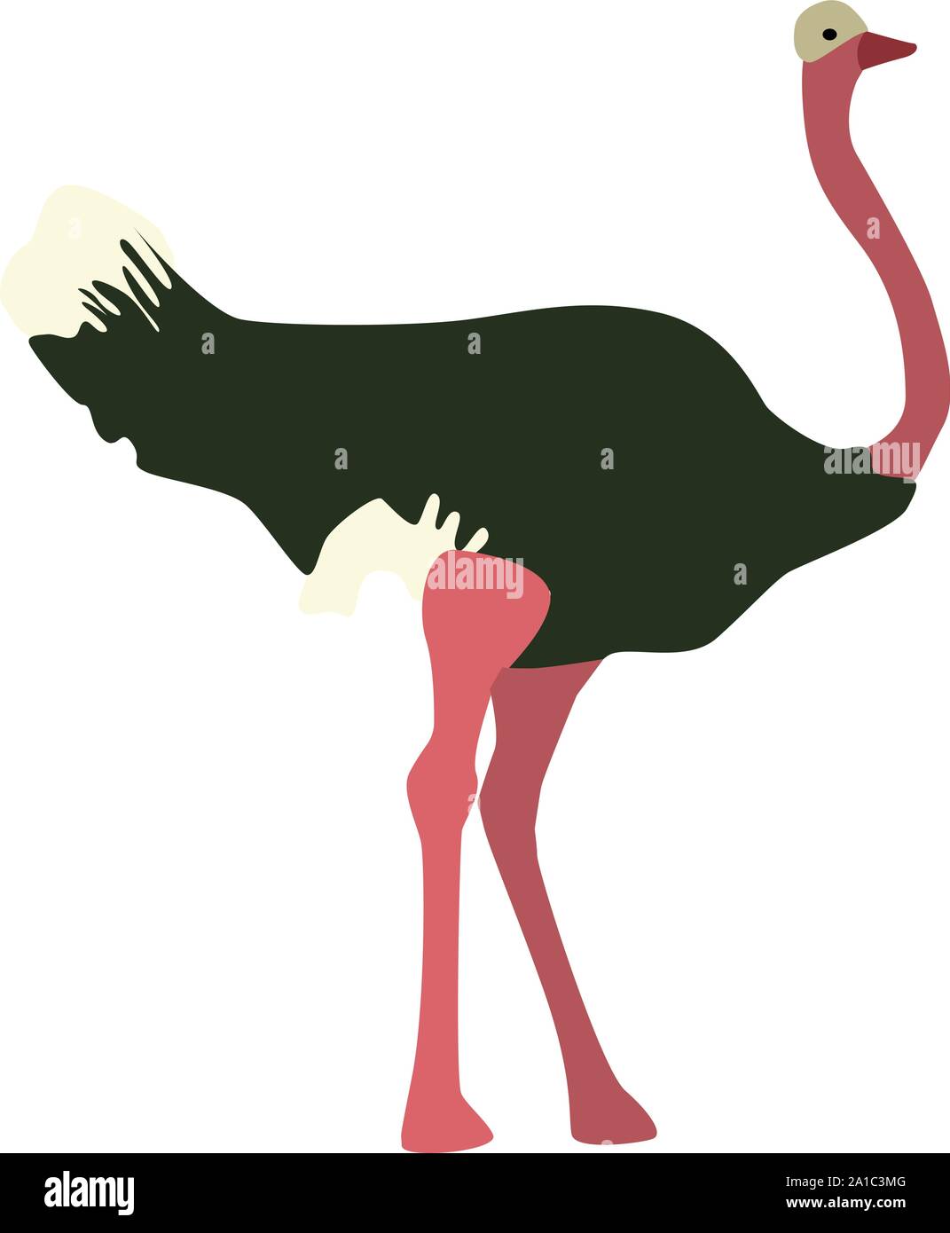 Green ostrich, illustration, vector on white background Stock Vector ...