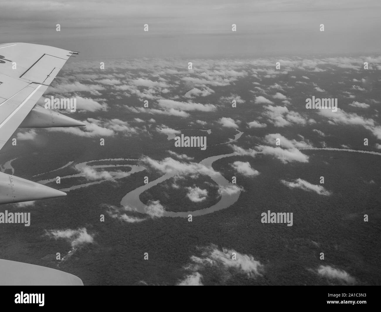 Amazon rainforest peru Black and White Stock Photos & Images - Alamy