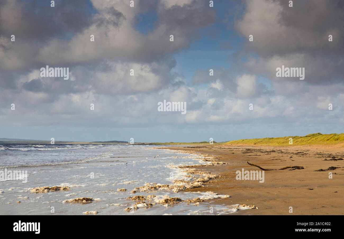 Machrie islay hi-res stock photography and images - Alamy
