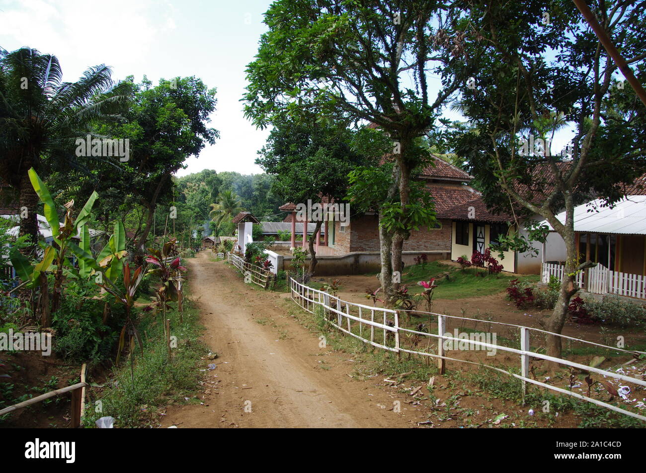 Rural landscape java hi-res stock photography and images - Alamy