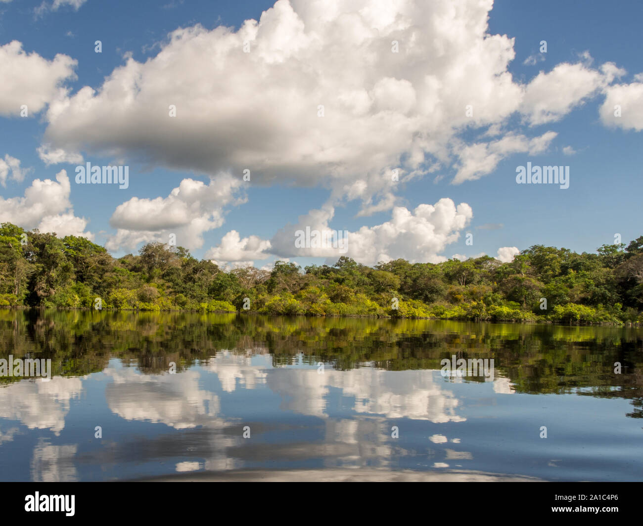 View of Lagoon near the Javari River, the tributary of the Amazon River ...