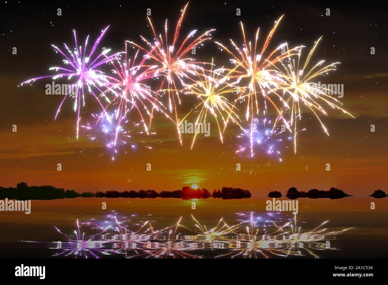 Sylvester palm hi-res stock photography and images - Alamy