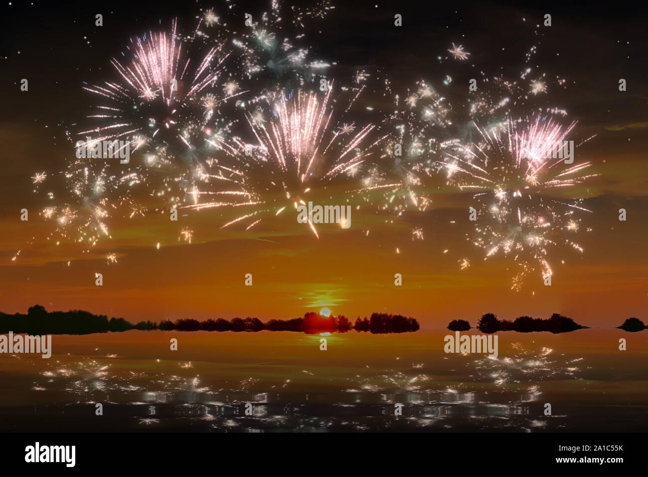 Sylvester palm hi-res stock photography and images - Alamy