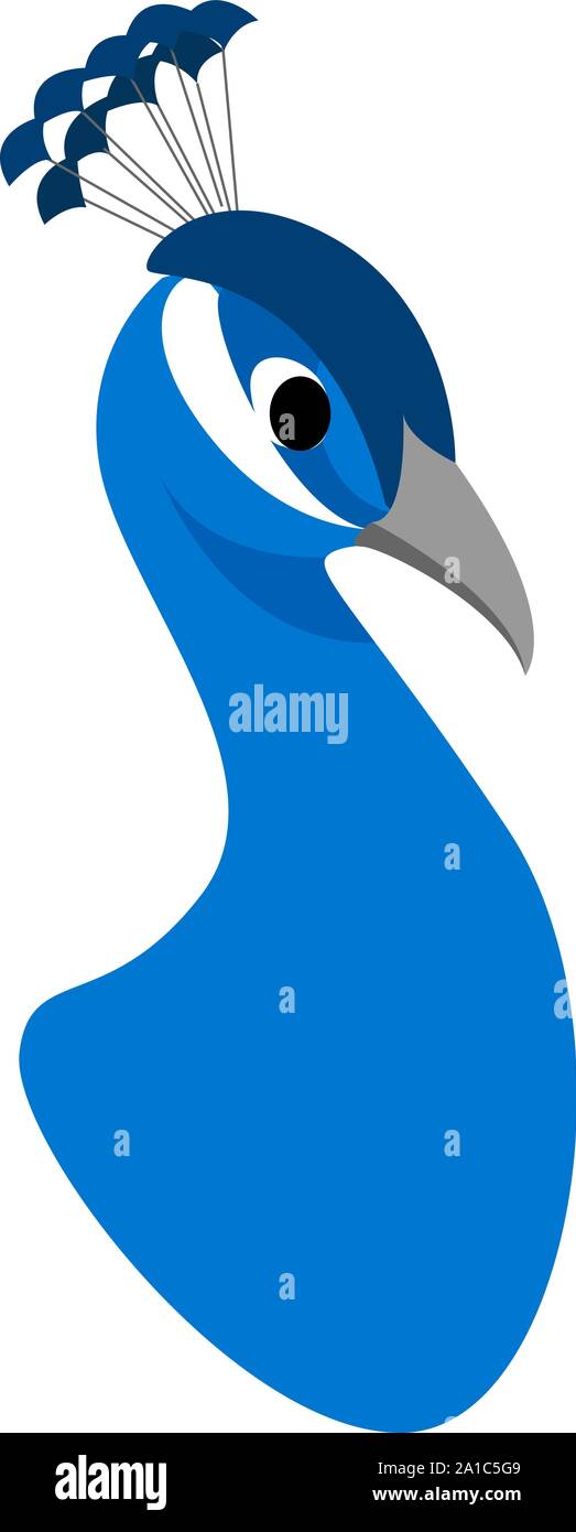 Blue peacock, illustration, vector on white background Stock Vector ...