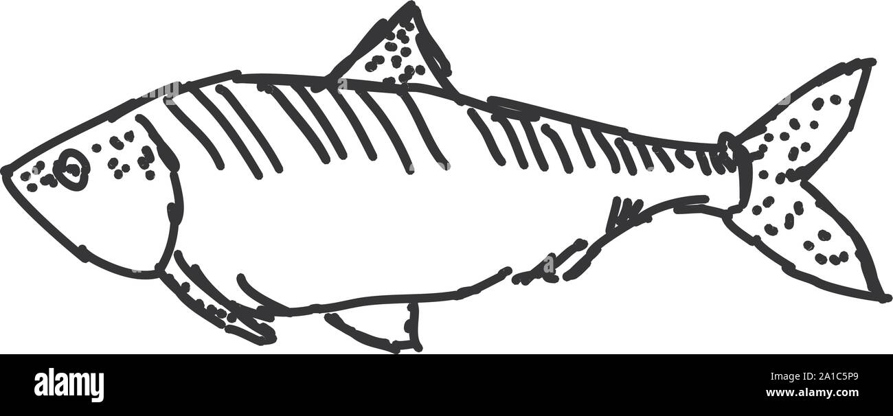Fish drawing, illustration, vector on white background Stock Vector ...