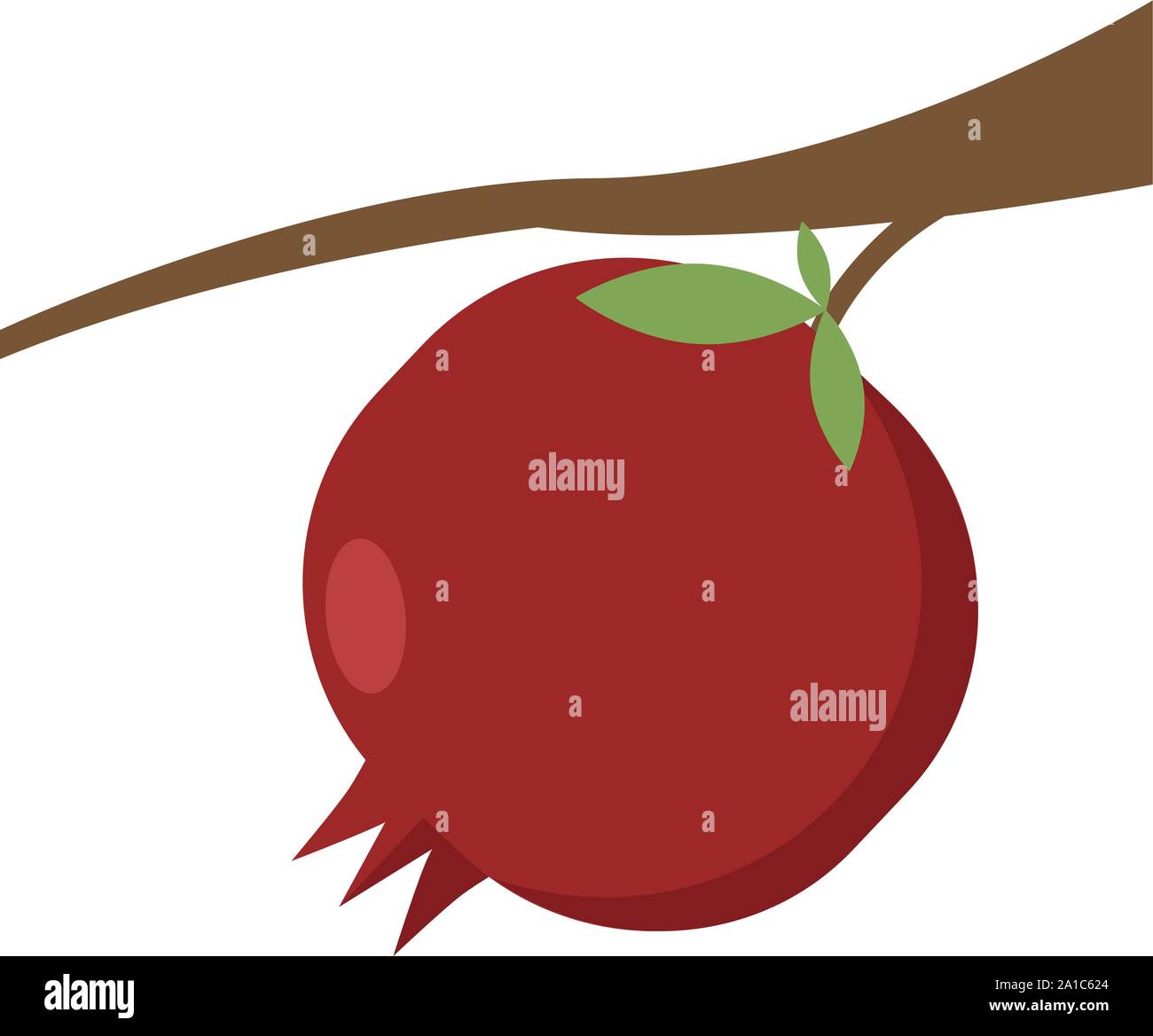 Pomegranate on tree, illustration, vector on white background Stock ...