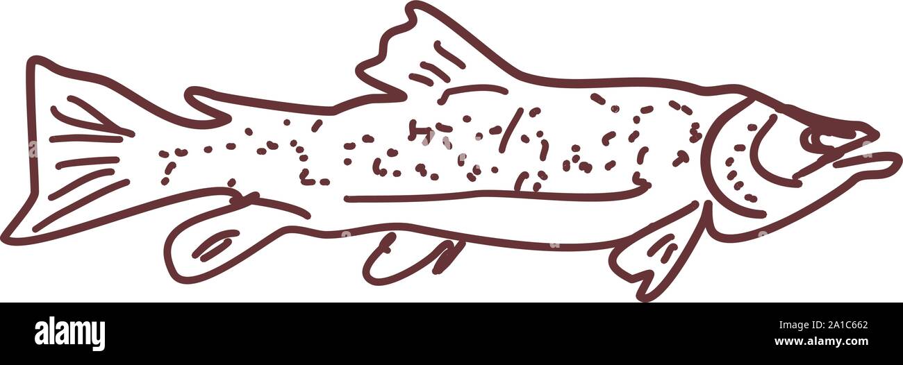 Fish sketch, illustration, vector on white background Stock Vector ...