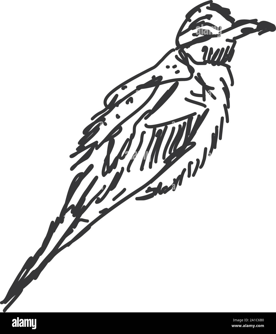 Bee eater, illustration, vector on white background Stock Vector Image ...