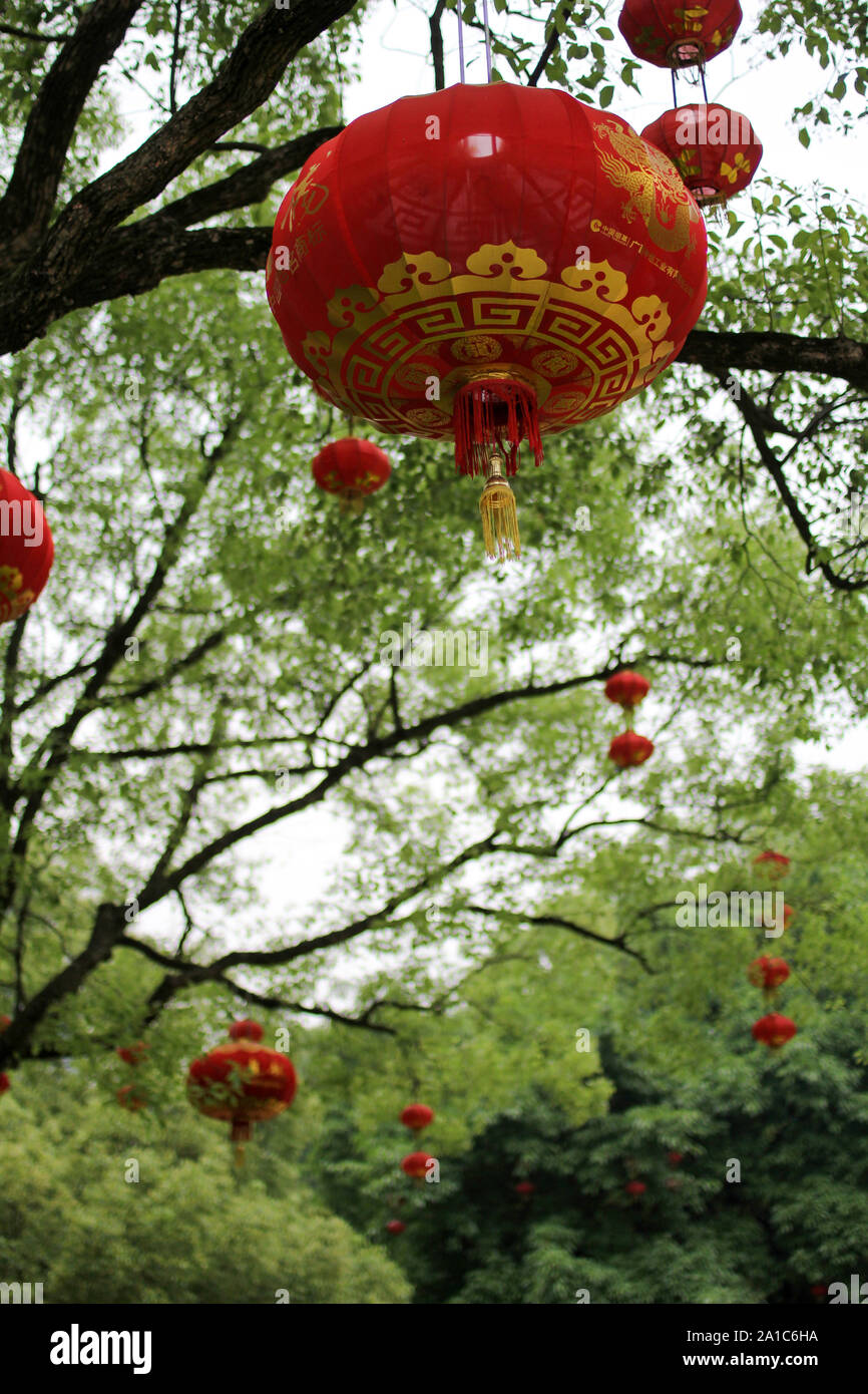 Balloon hanging from tree hi-res stock photography and images - Alamy