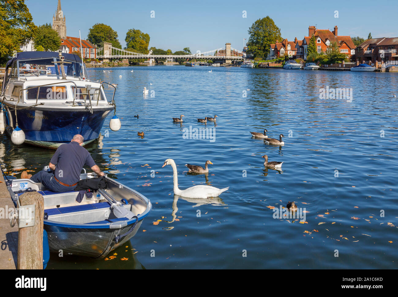 View from the Thames path of Marlow suspension bridge crossing the ...