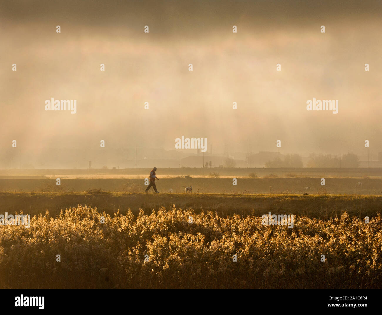 Marsh walker hi-res stock photography and images - Alamy