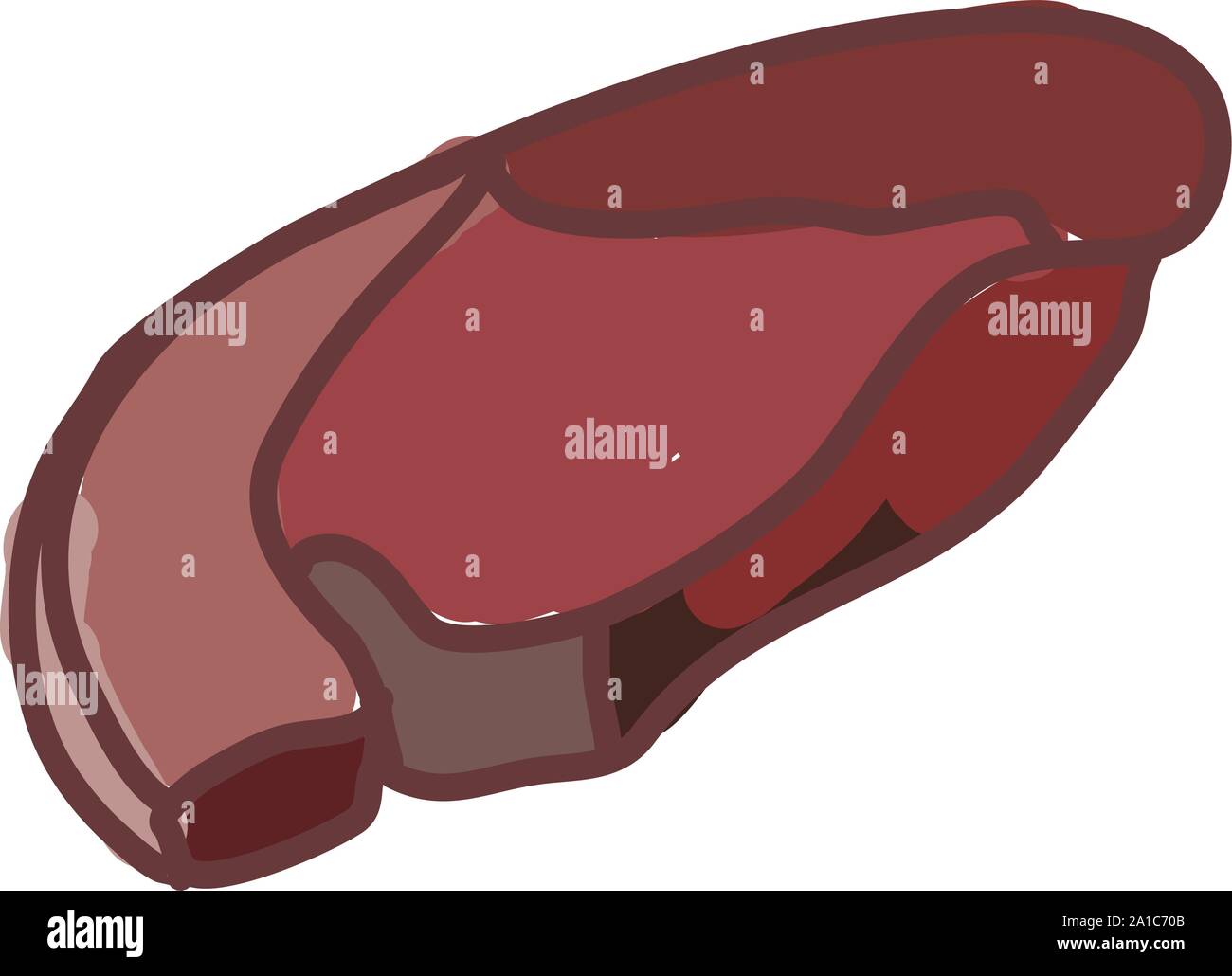 Meat filet, illustration, vector on white background Stock Vector Image ...