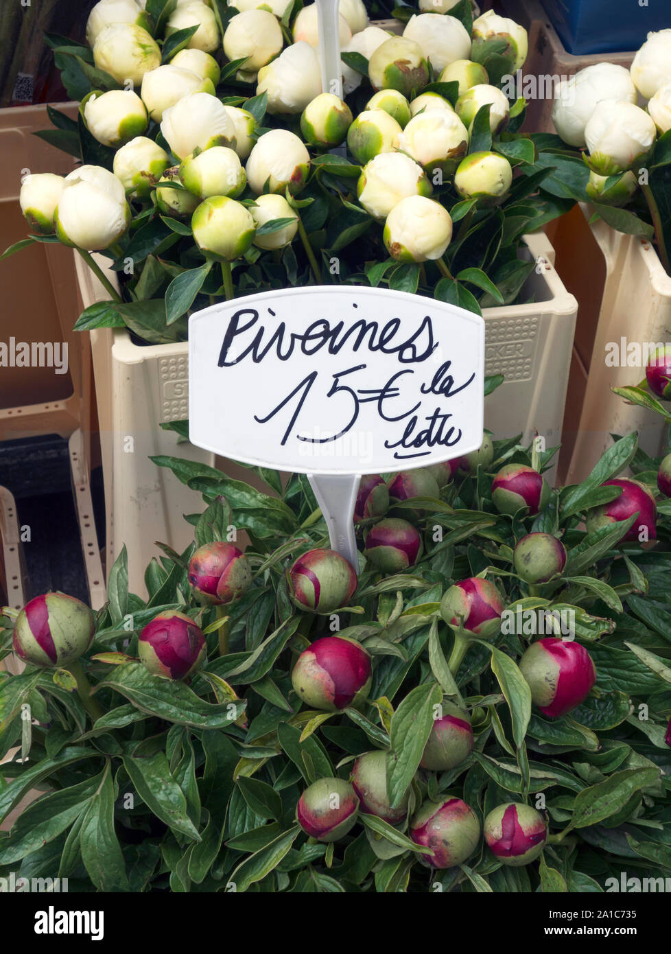 Peonies for sale at flower stall in Paris, France, 2019 Stock Photo - Alamy