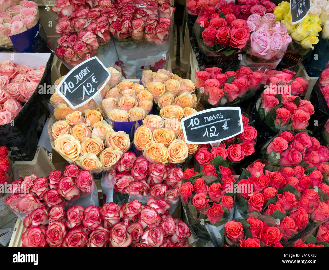 Blooms bouquets hi-res stock photography and images - Alamy
