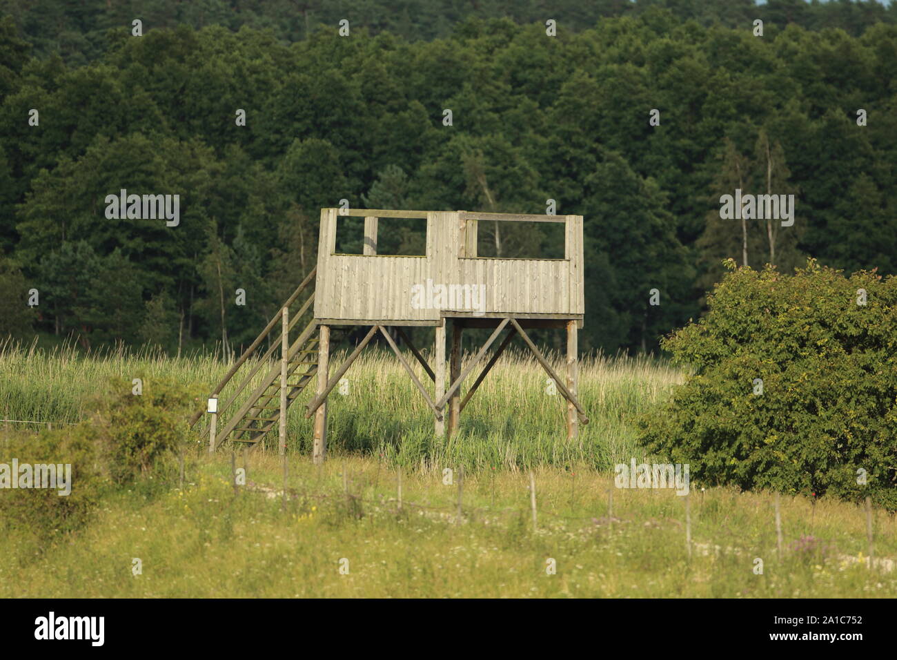 Wildlife watching tower hi-res stock photography and images - Alamy