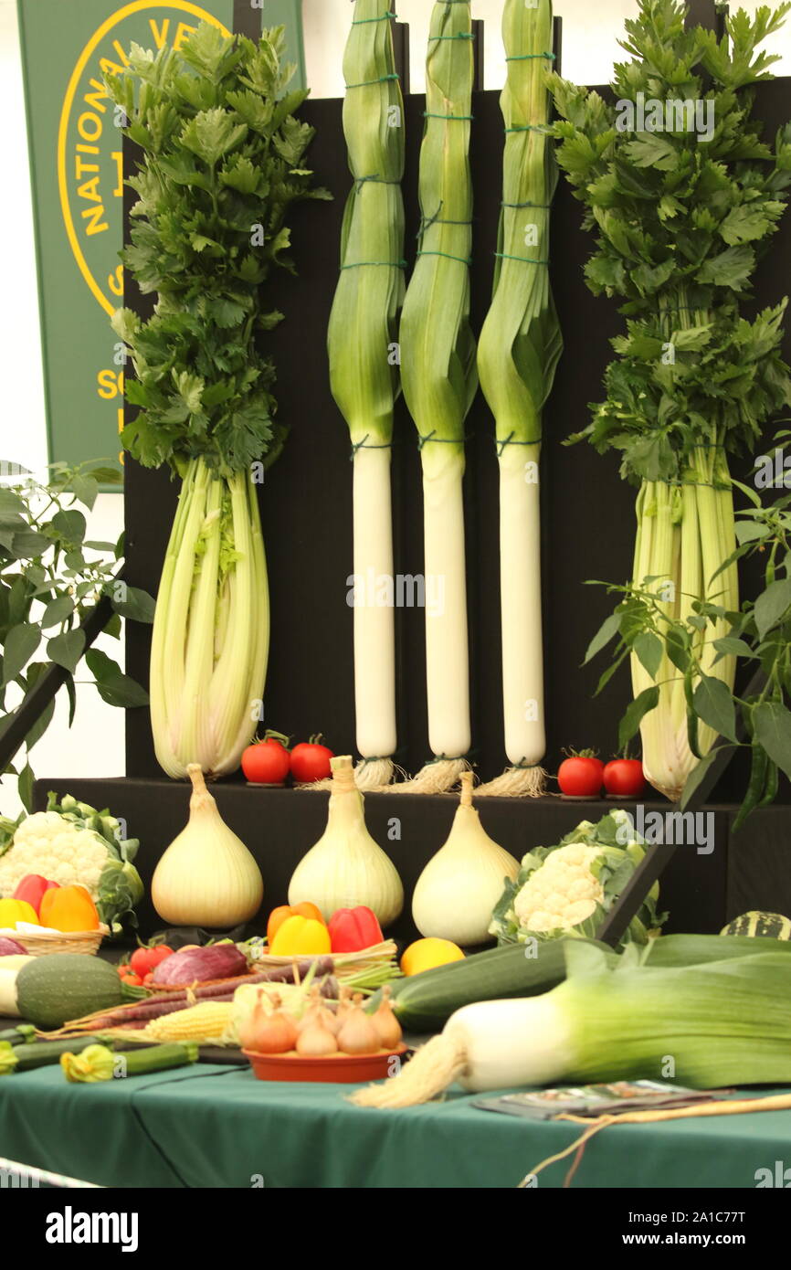 The national vegetable society hi-res stock photography and images - Alamy