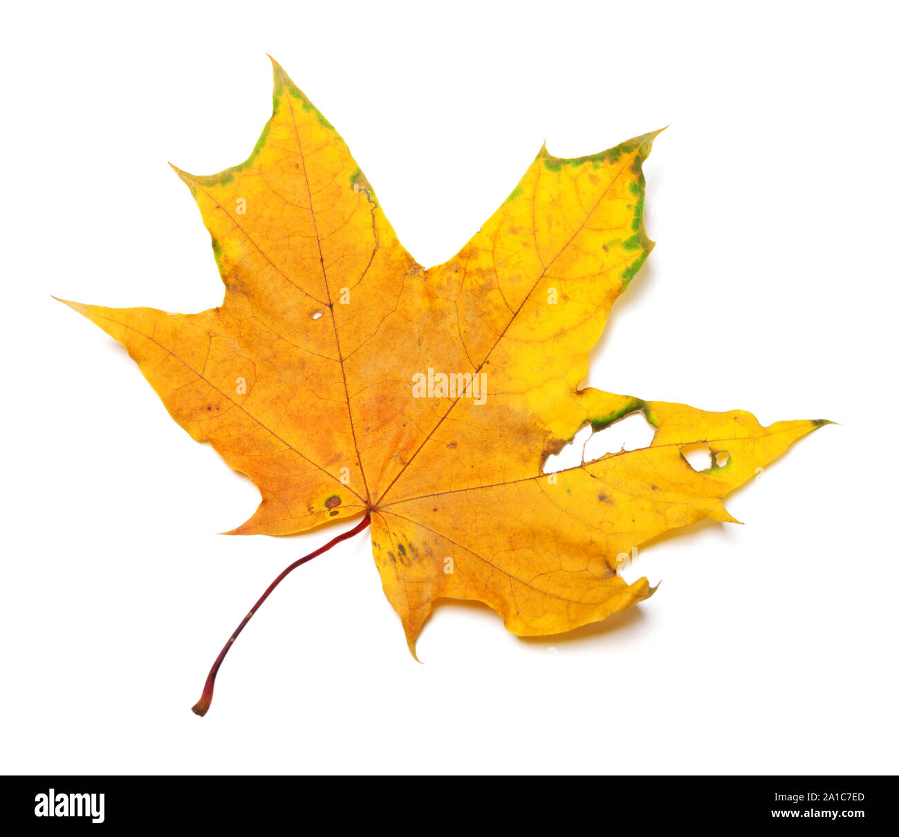 Fade from view Cut Out Stock Images & Pictures - Alamy