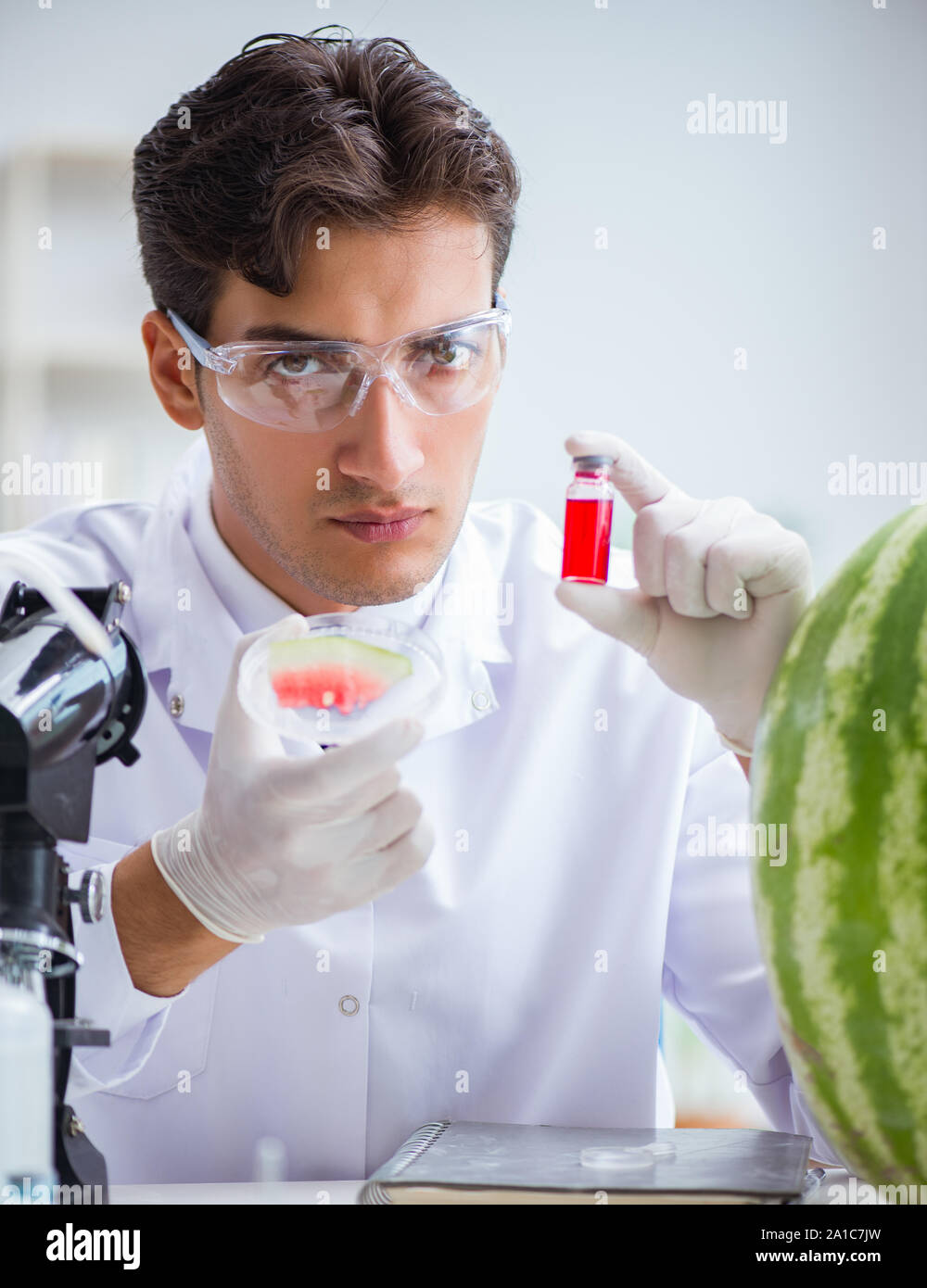 The scientist testing watermelon in lab Stock Photo - Alamy