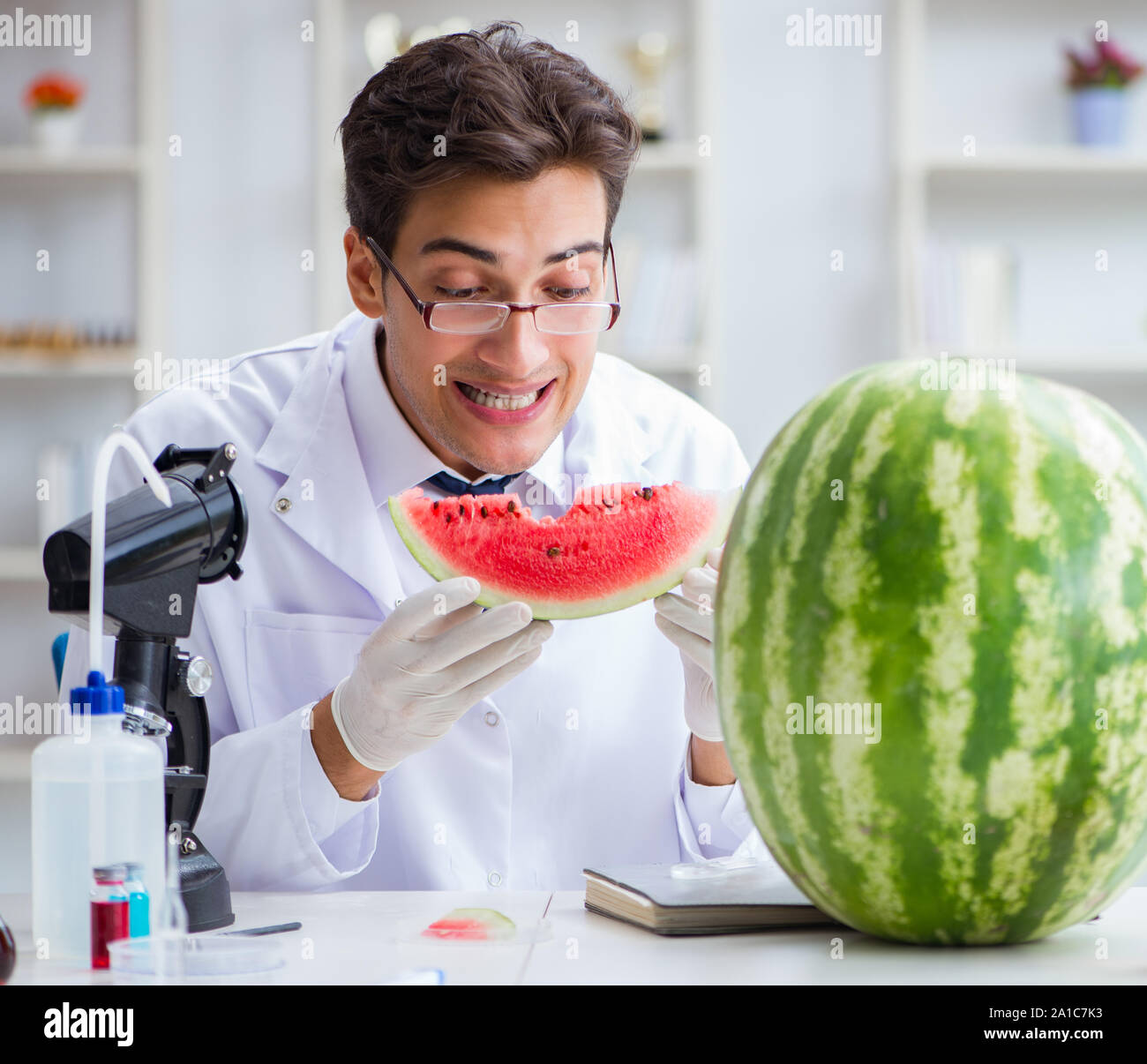 The scientist testing watermelon in lab Stock Photo - Alamy