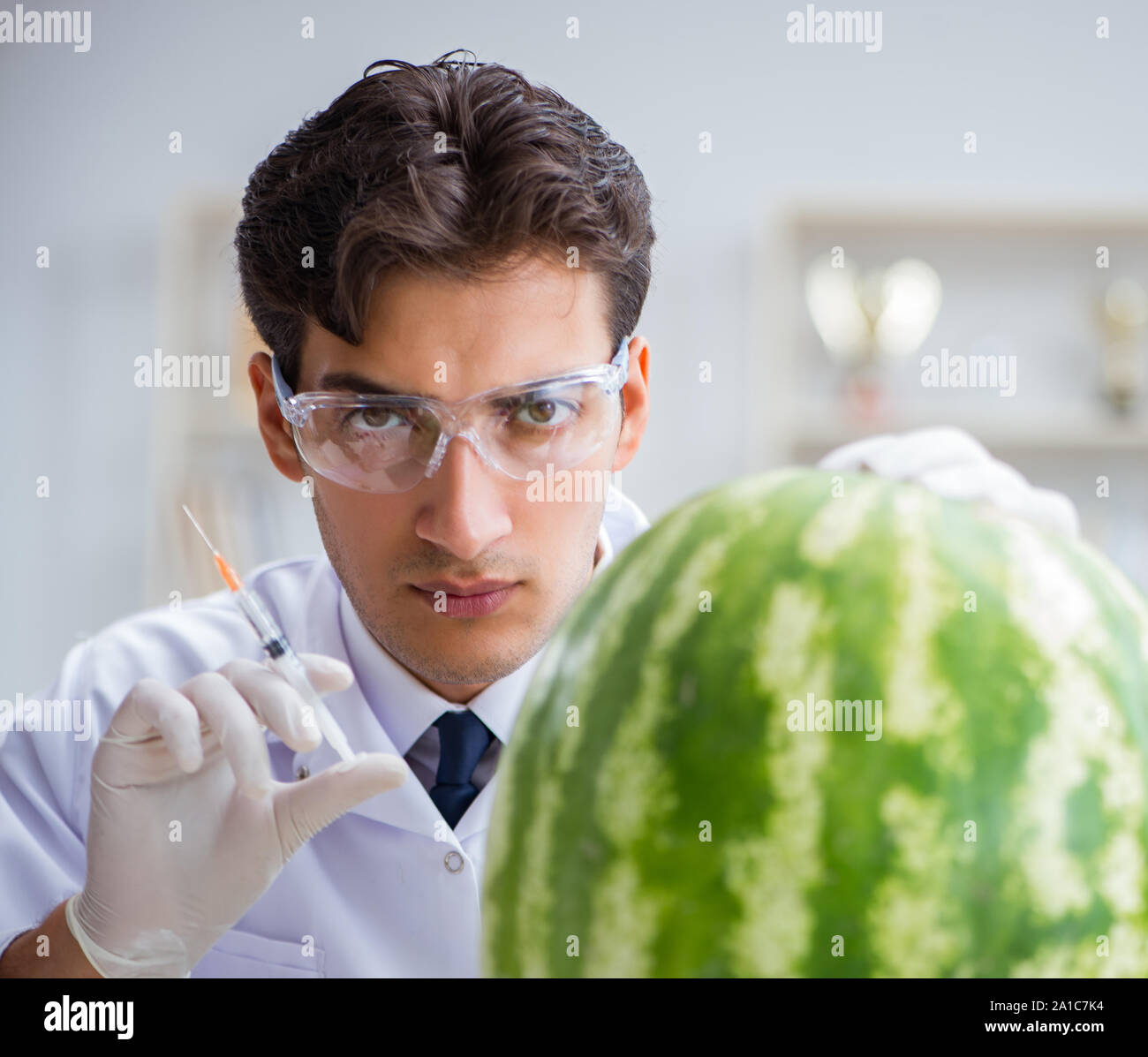 The scientist testing watermelon in lab Stock Photo - Alamy