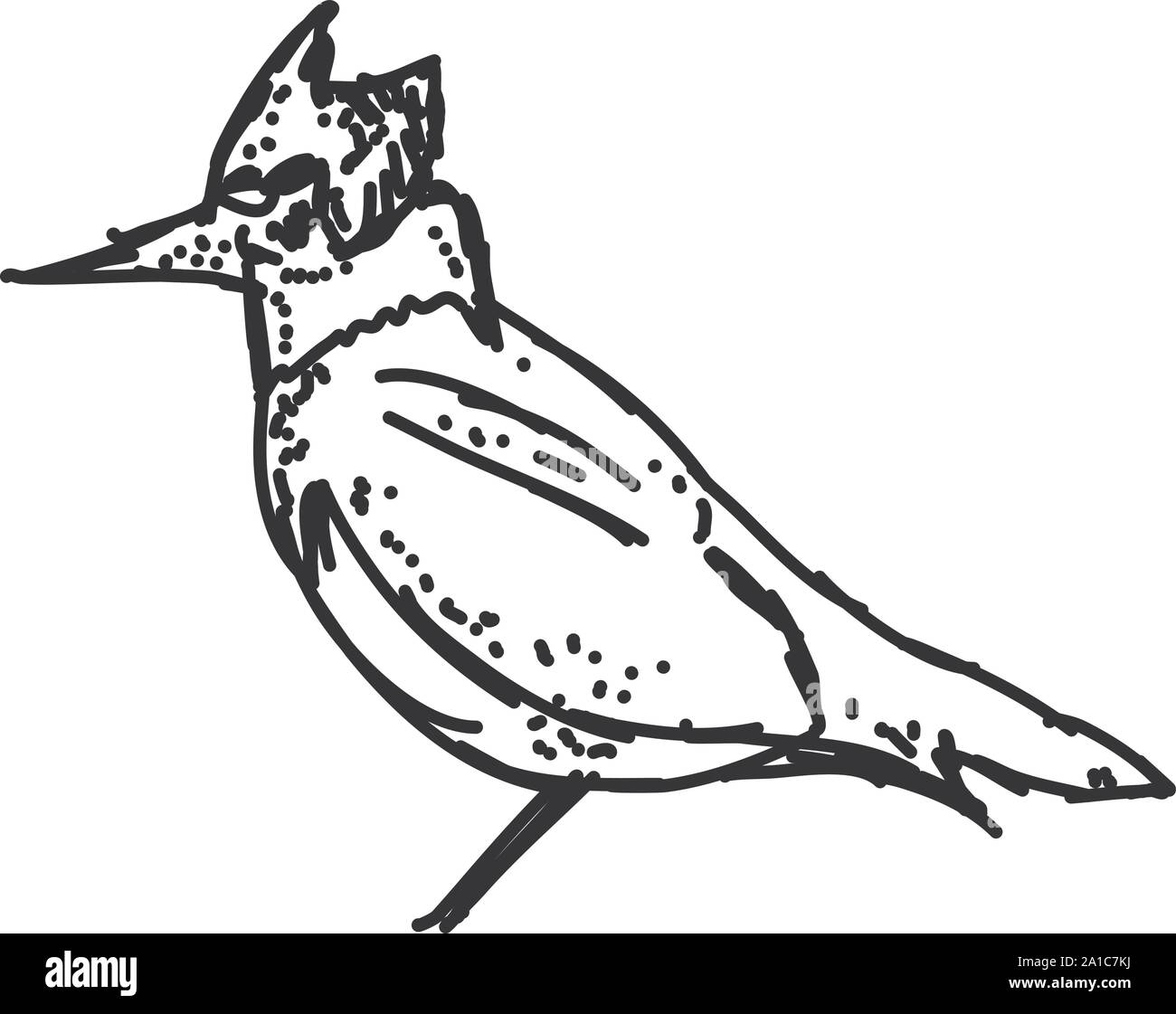 Bird sketch, illustration, vector on white background Stock Vector ...