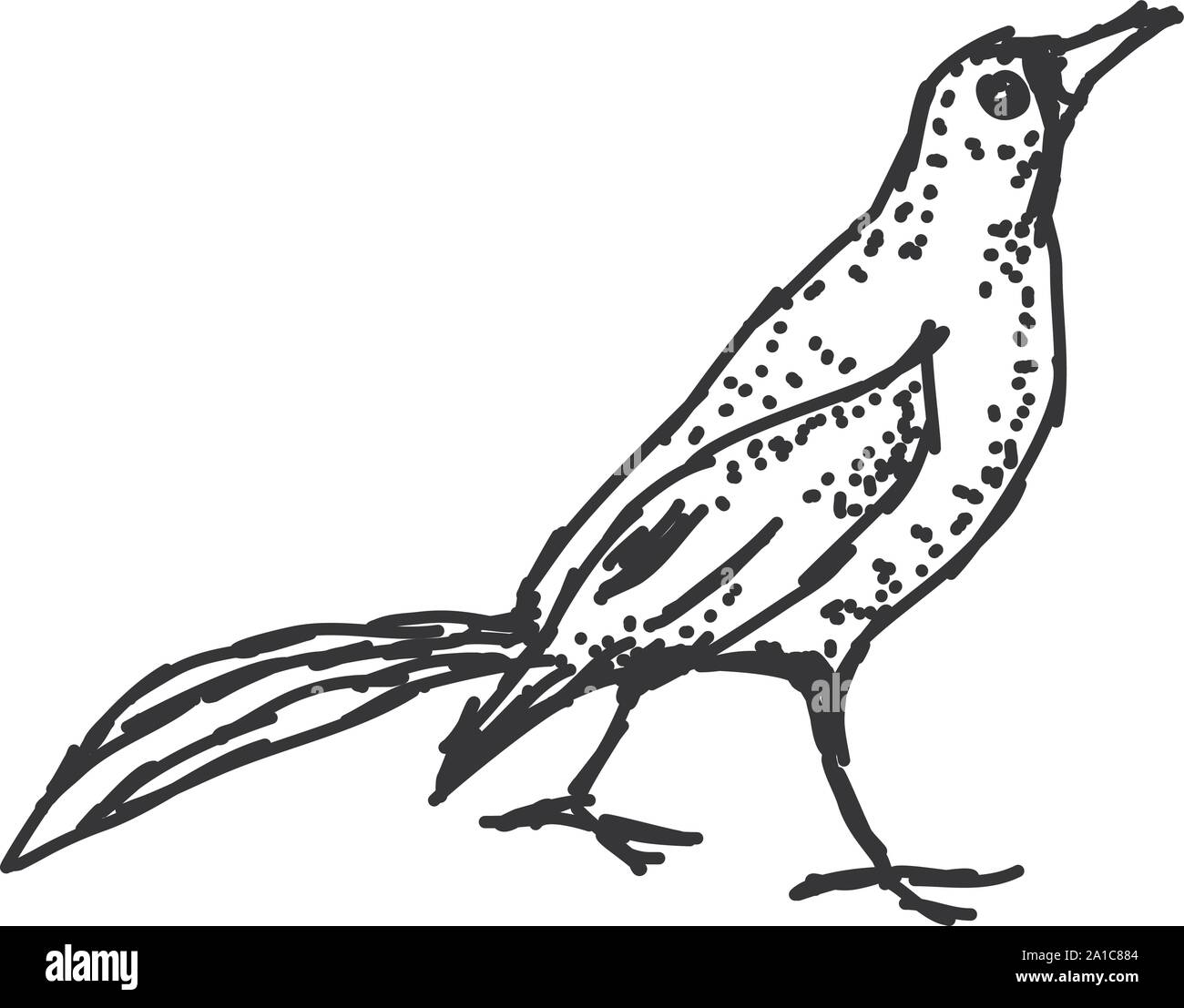 Bird drawing, illustration, vector on white background Stock Vector ...
