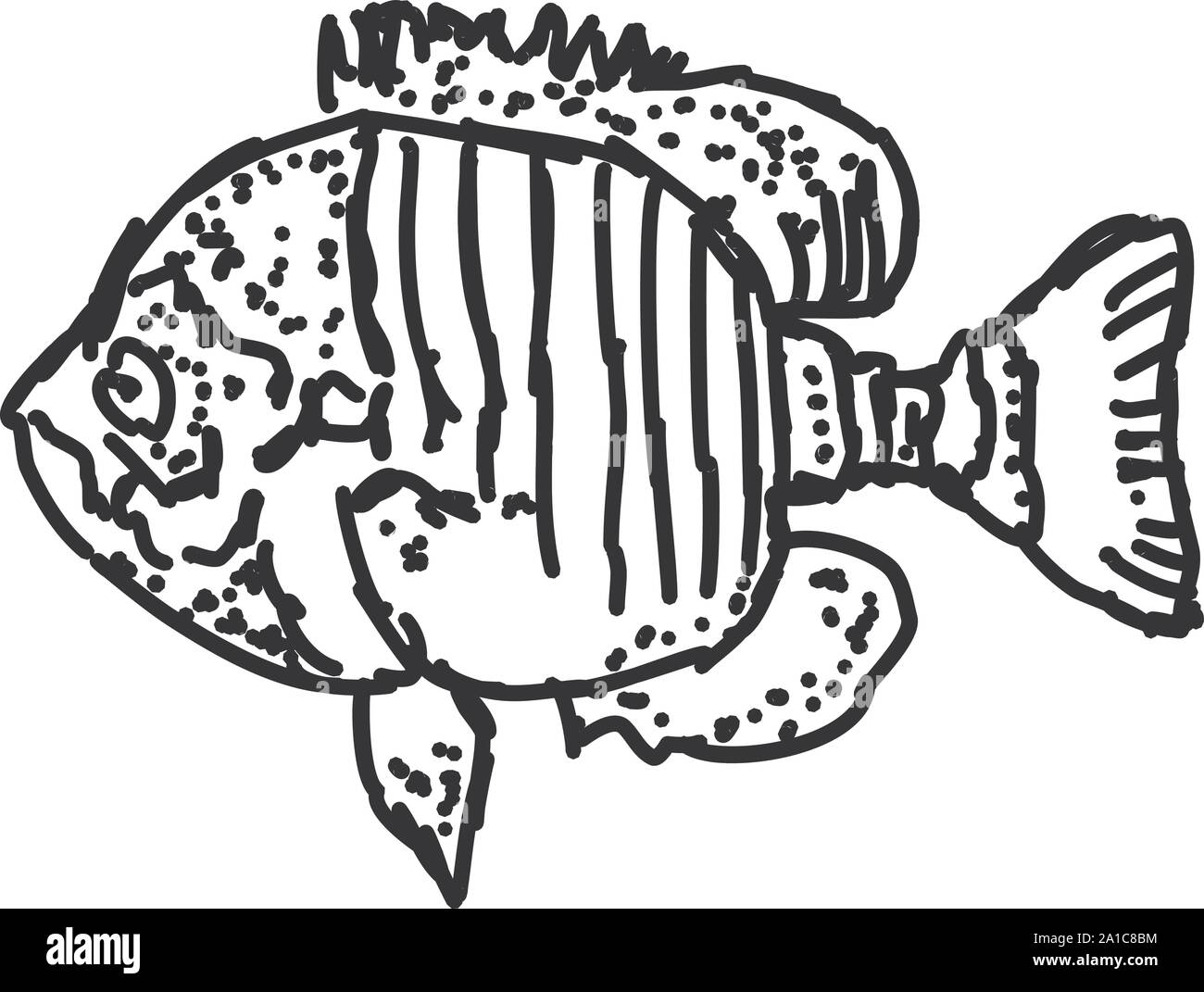 Fish drawing, illustration, vector on white background Stock Vector ...