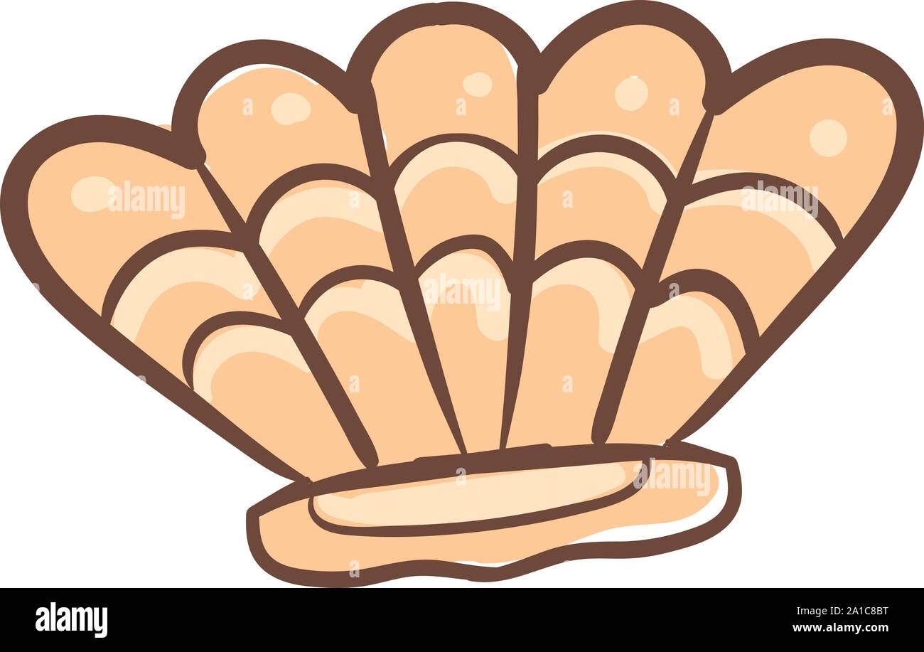 Coral clam, illustration, vector on white background Stock Vector Image ...